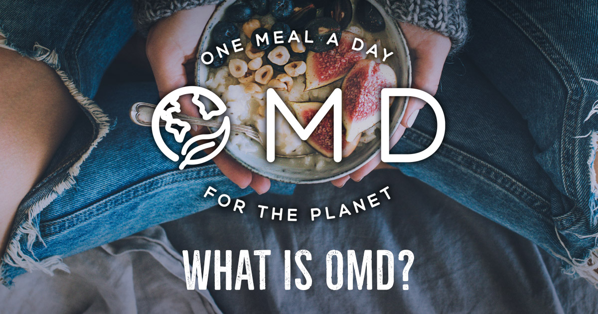 What Is OMD One Meal A Day For The Planet Healthy Life Planet what-is-omd-one-meal-a-day-for-the-planet-healthy-life-planet